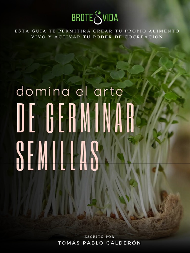 Arte de Germinar Semillas para Niños | PDF | Nutrición | Dieta y nutrición