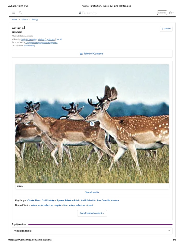 Animal - Definition, Types, & Facts - Britannica | PDF | Cell (Biology ...