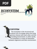Digraj Sir Notes | PDF | Deforestation | Forests