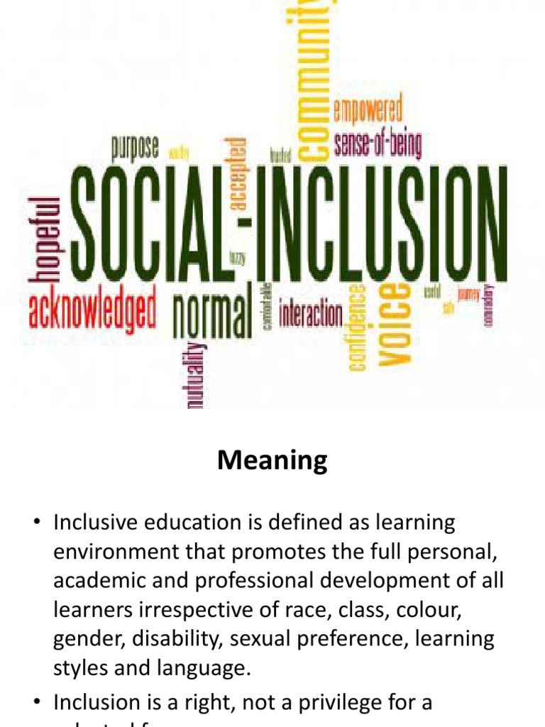 Social Inclusion | PDF | Inclusion (Education) | Teachers