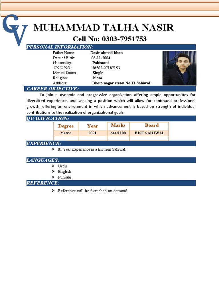 Muhammad Talha Nasir's CV | PDF