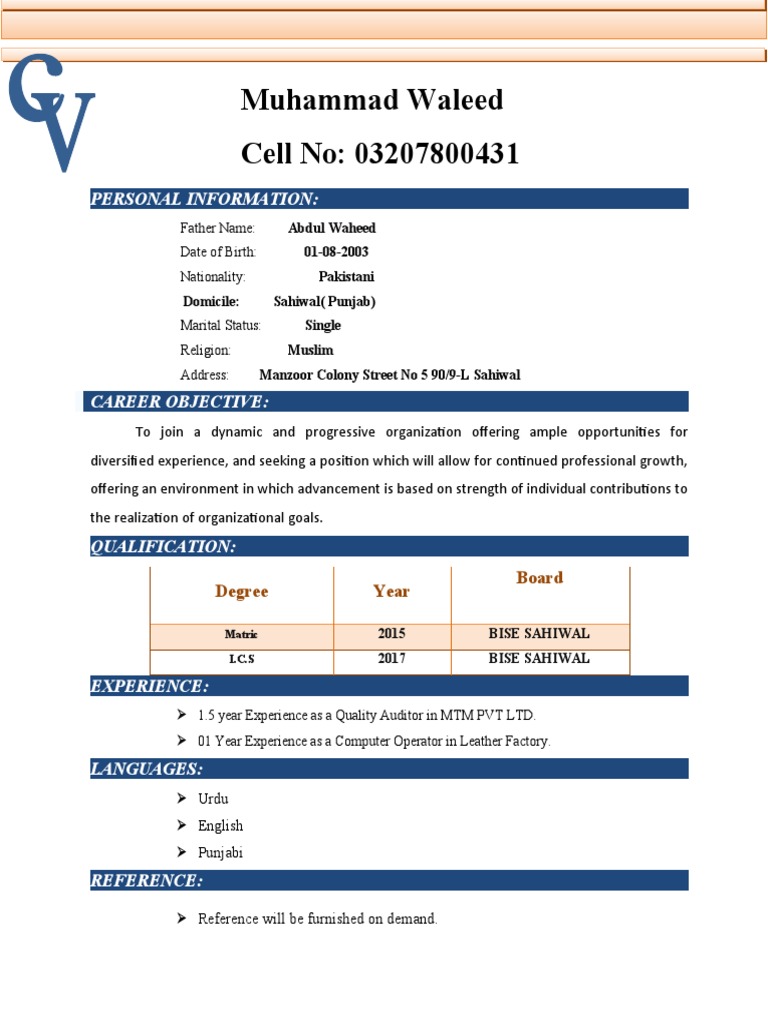 Muhammad Waleed - CV and Career Profile | PDF