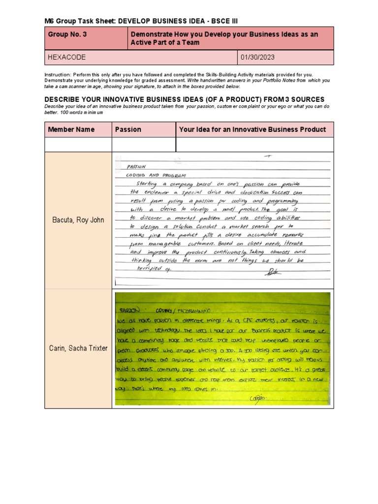 M6 Group 4 Task - Develop Business Idea - CE3 | PDF