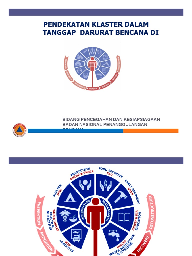 KOORDINASI KLASTER DALAM PENANGGULANGAN BENCANA DI INDONESIA | PDF