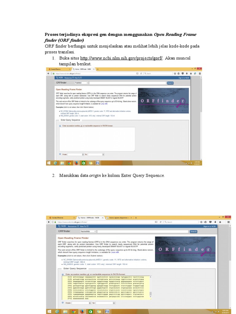 Proses Terjadinya Ekspresi Gen Dengan Menggunakan Open Reading Frame Finder | PDF | Komputer