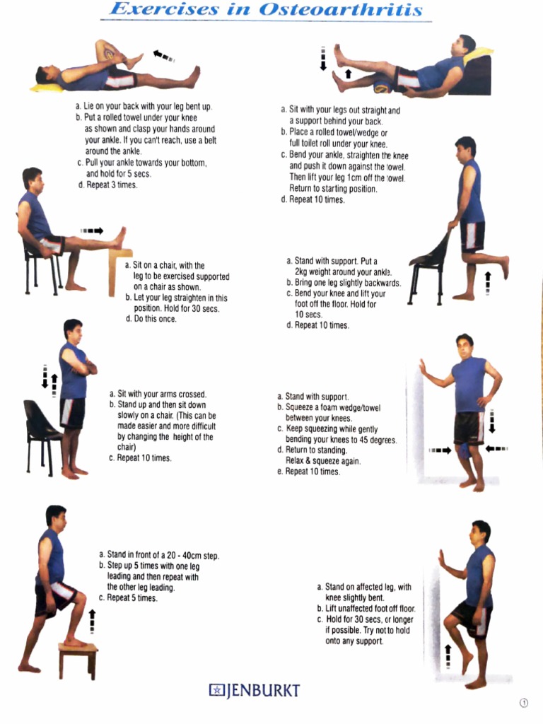 Exercies For Lower Back | PDF | Pelvis | Anatomical Terms Of Motion