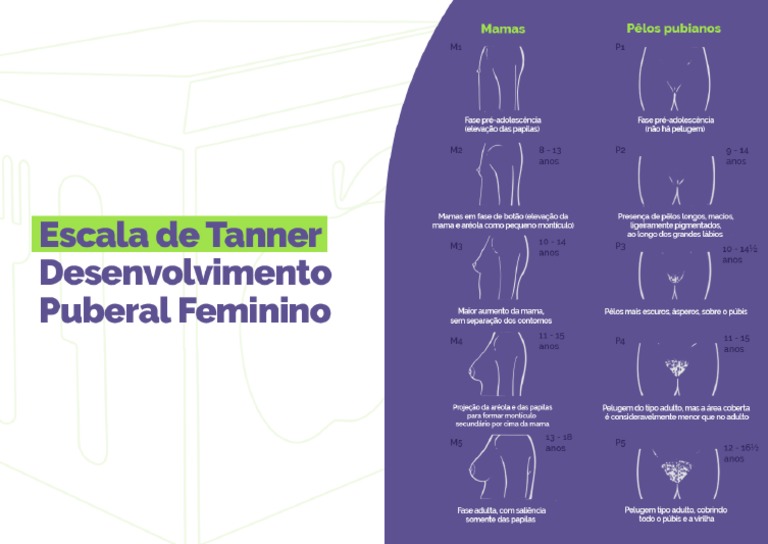 Escala de Tanner Desenvolvimento Puberal Feminino | PDF