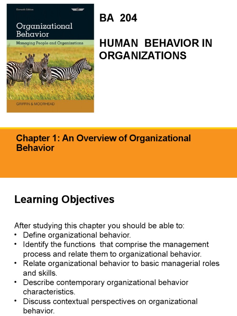 Chapter 1 - An Overview of Organizational Behavior | PDF ...