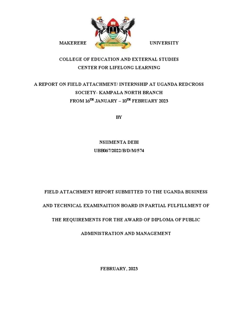 Internship Report | PDF