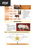 Pig Medication & Vaccination Guide | PDF