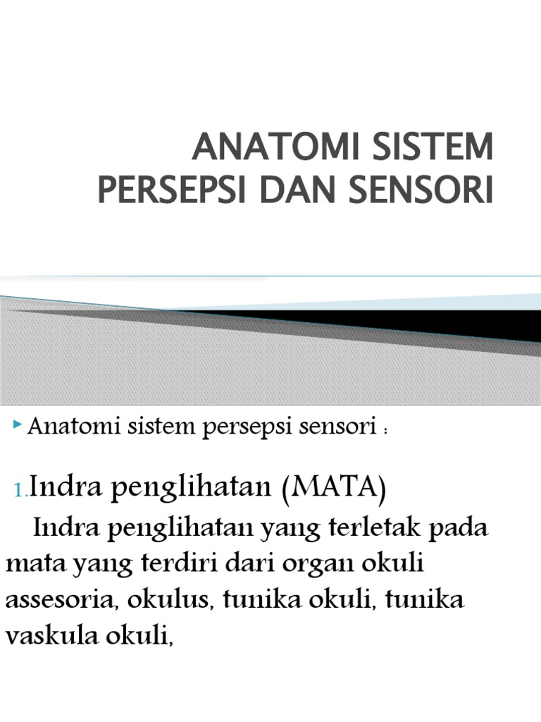 Anatomi Sistem Persepsi Dan Sensori | PDF Anatomi Sistem Persepsi Dan Sensori | PDF