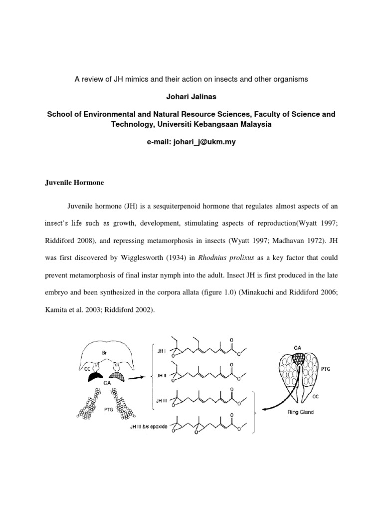 Review Mimic JH | PDF | Insects | Biology