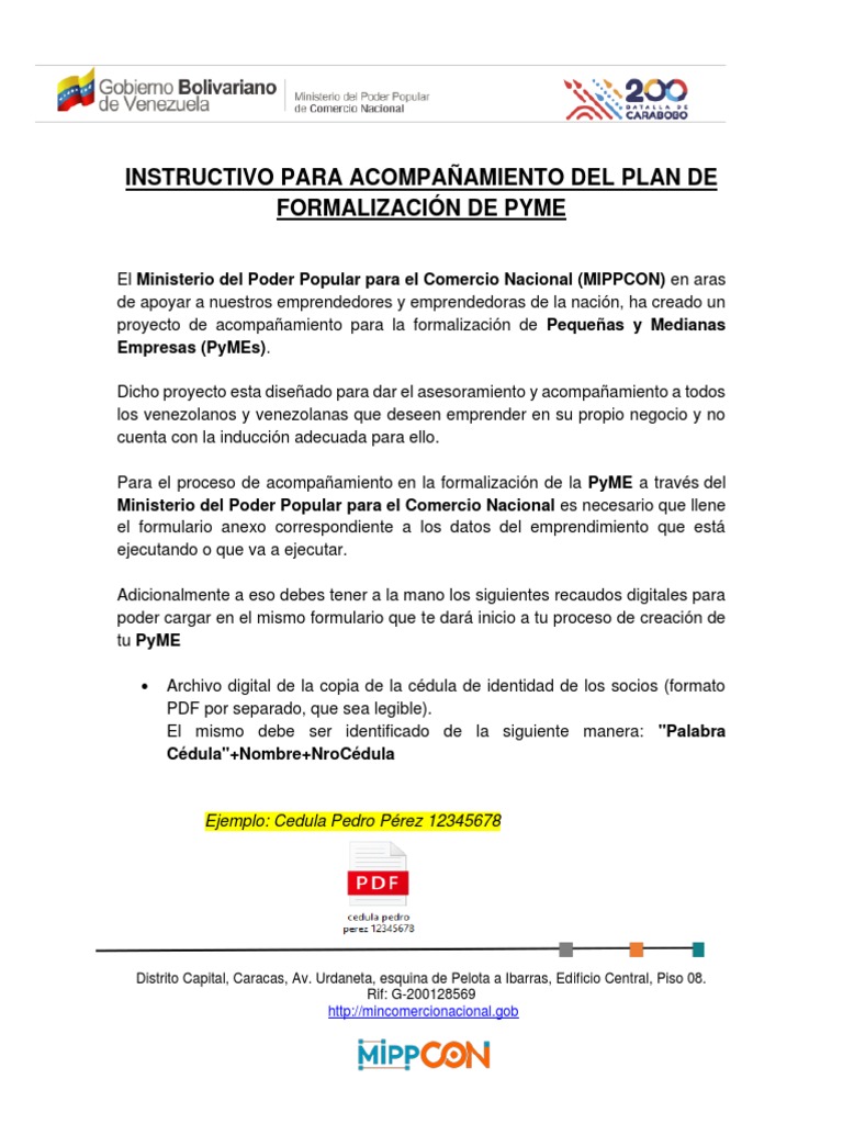 Instructivo Acompañamiento Del Plan Pyme MIncomercio | PDF | Pequeñas y ...