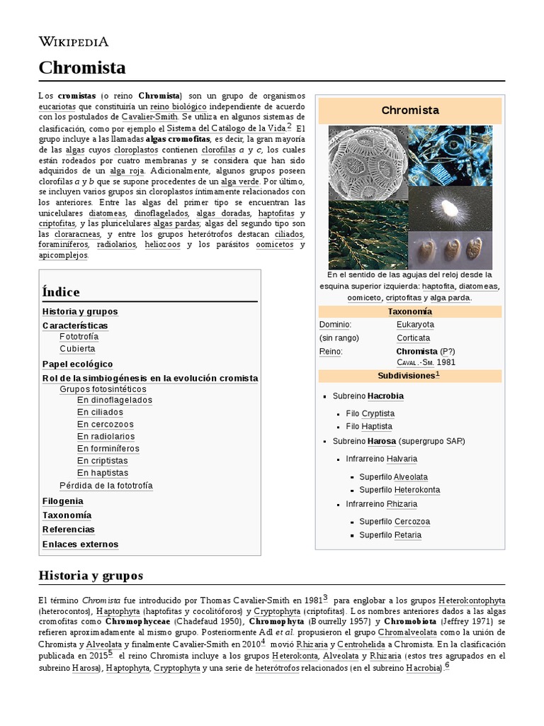 Chromista | PDF | Biología | Organismos