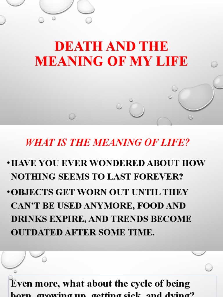 Death and the Meaning of Life | PDF | Suffering | Happiness