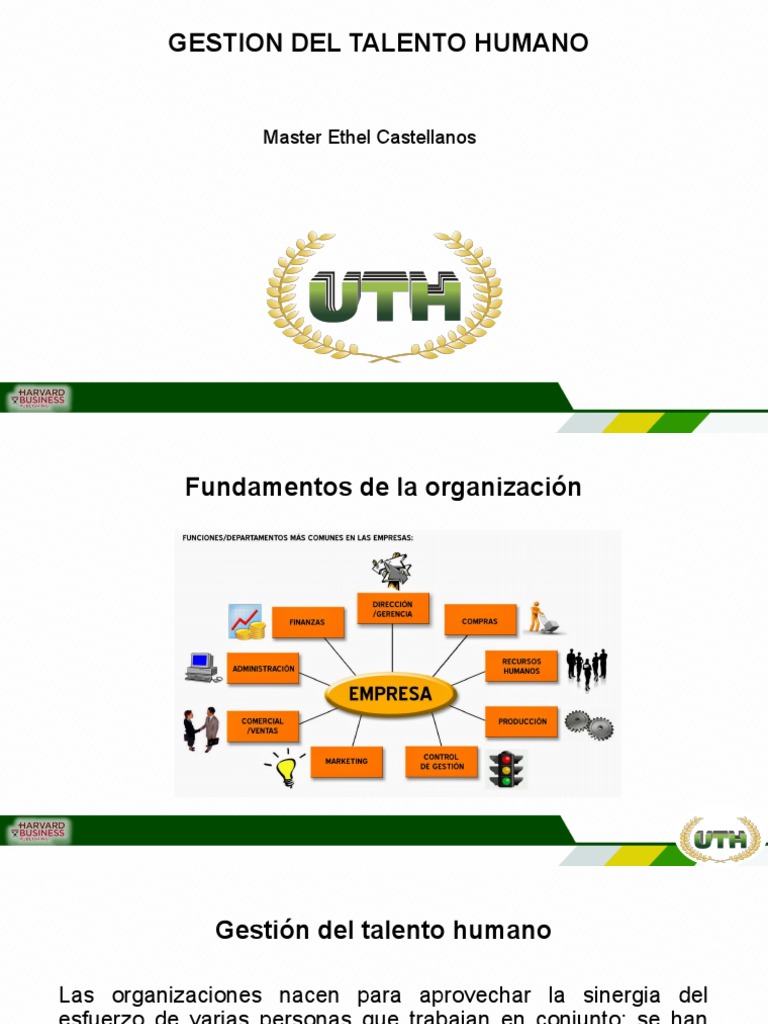 Capitulo 1 Gestion Del Talento Humano | PDF | Gestión del talento | Gestión de recursos humanos