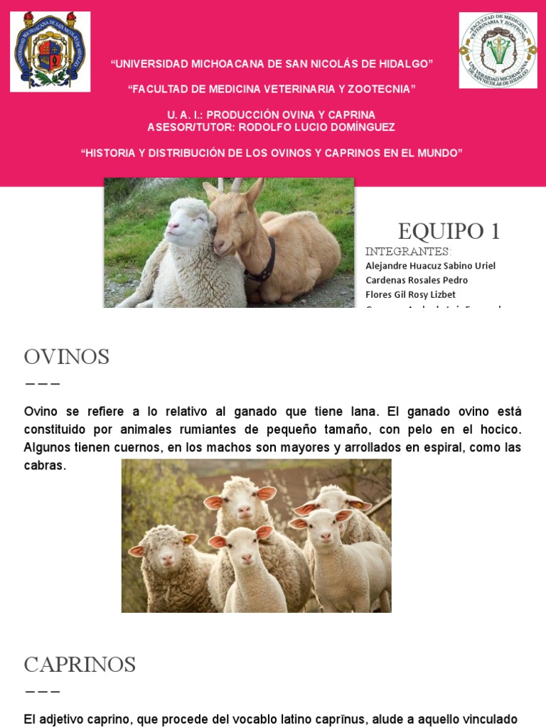 Historia y Producción de Ovinos y Caprinos | PDF | Oveja | Cabra