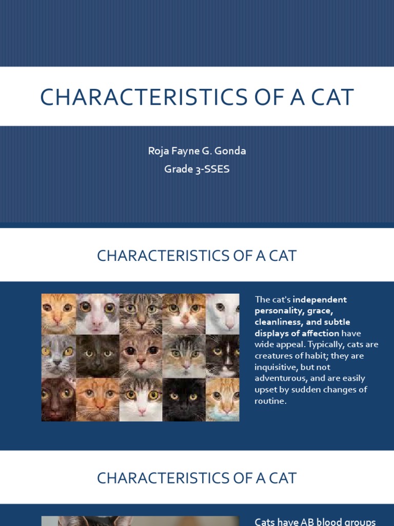 Characteristics of A Cat | PDF