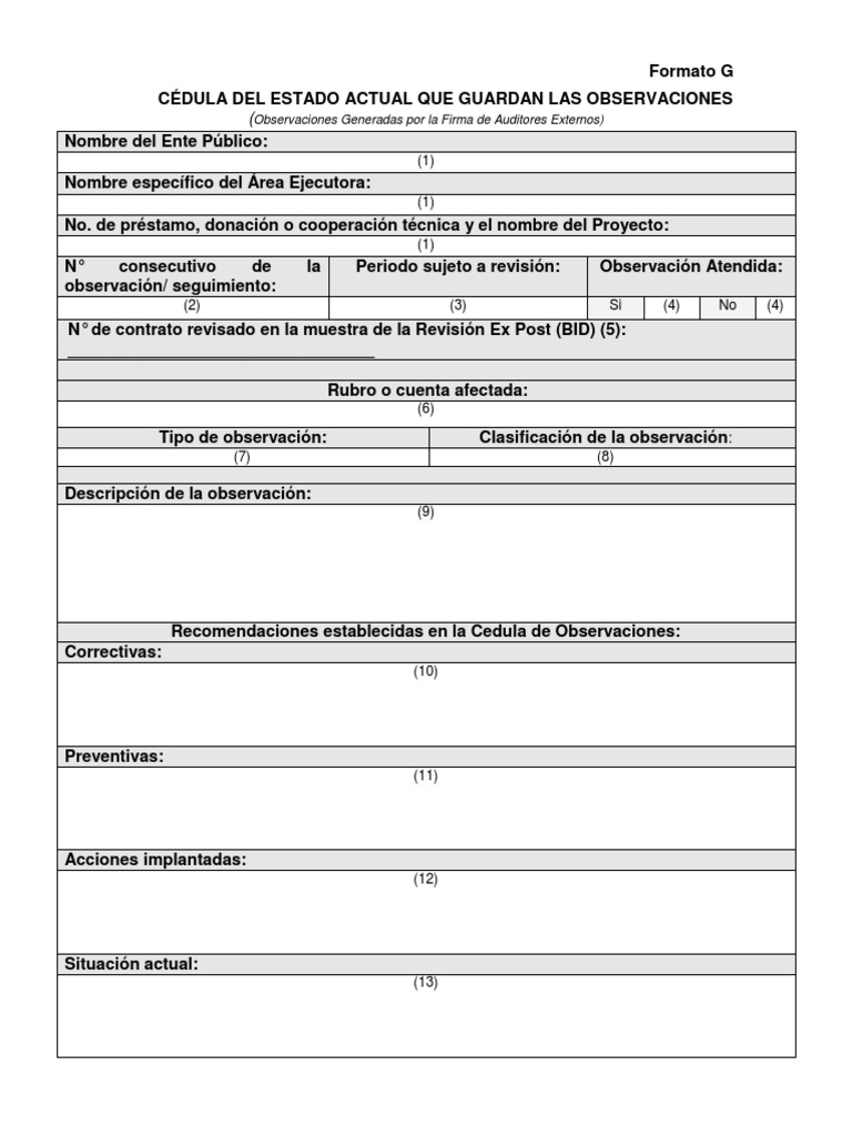 Formato G C - Dula Del Estado Actual Que Guardan Las Observaciones | PDF