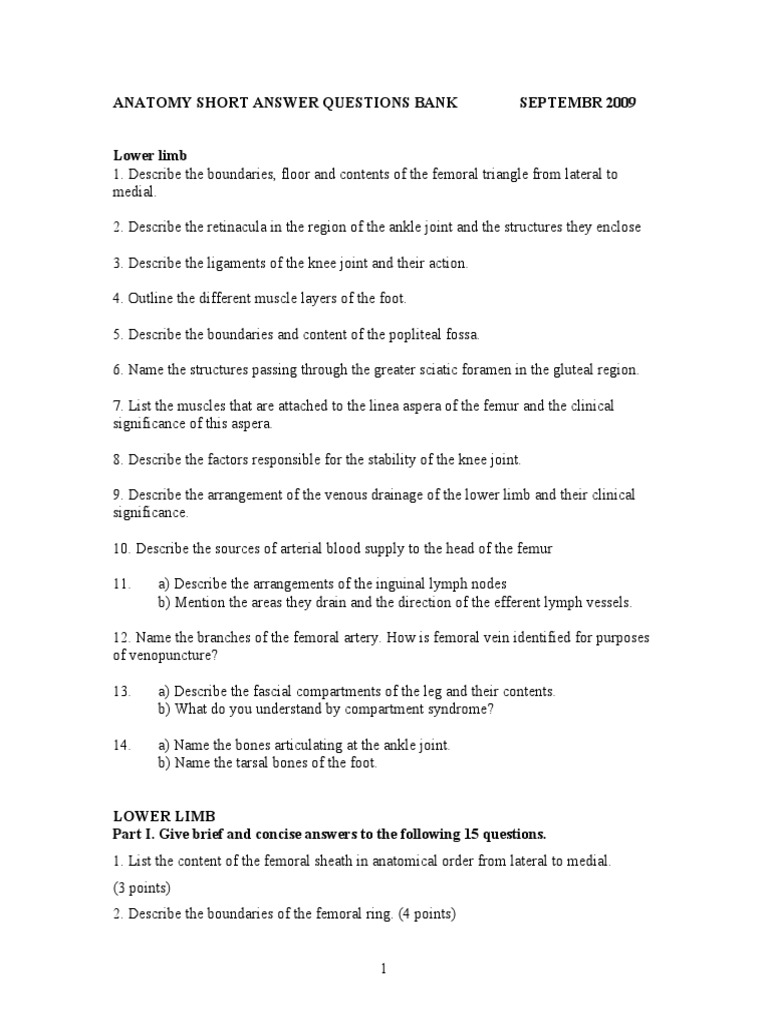 ANATOMY SHORT ANSWER QUESTIONS BANK September 2009 | PDF | Human Leg ...