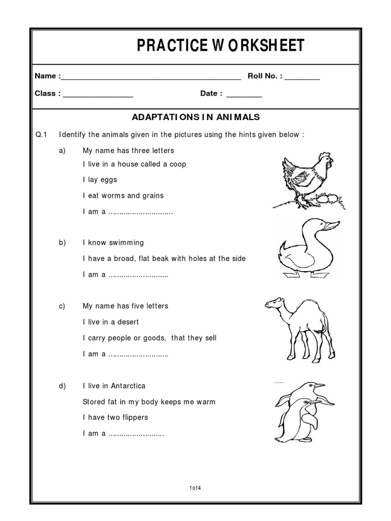 Adaptations in Animals | PDF | Organisms