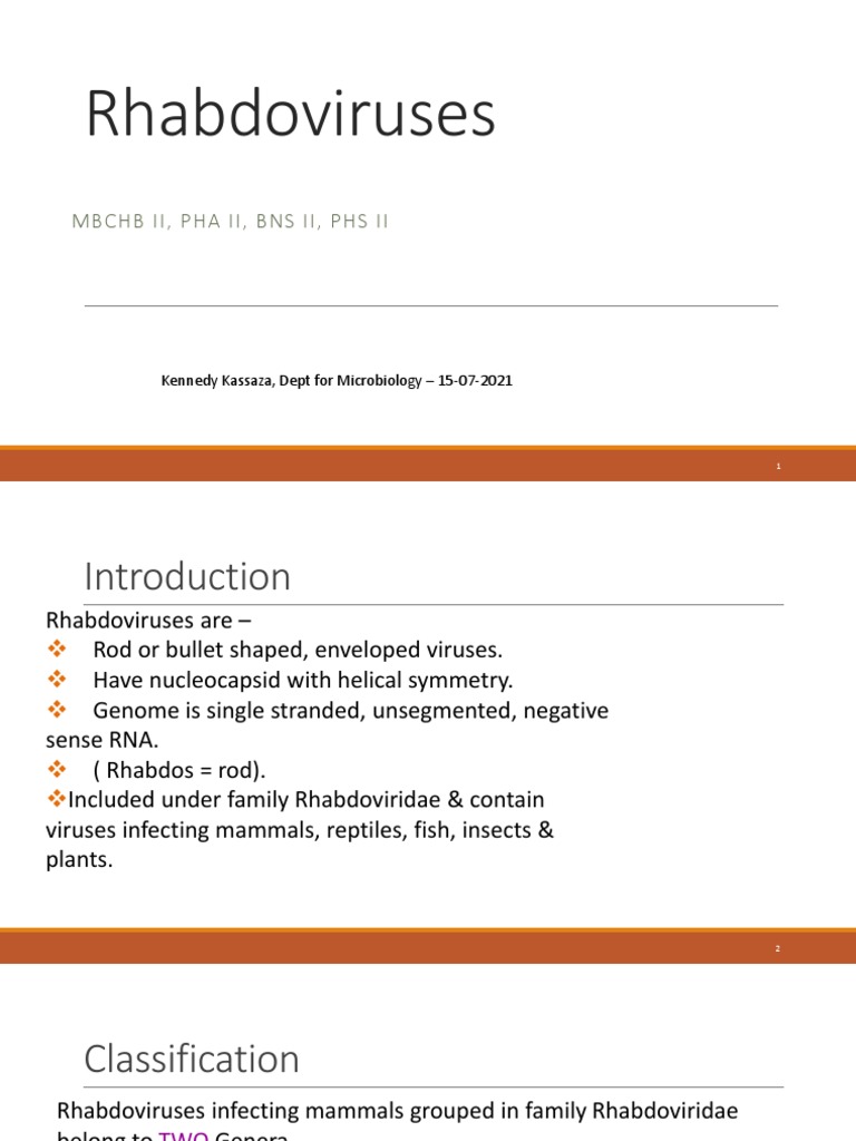 Rhabdoviruses by Kennedy | PDF | Rabies | Virus