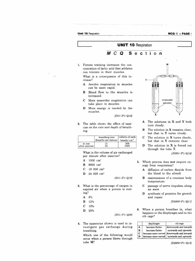 Csec Respiration (Multiple Choice) | PDF