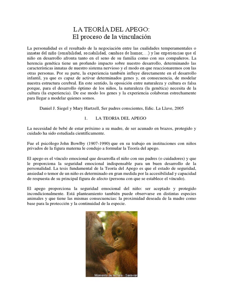SIEGEL, D. La Teoría Del Apego | Descargar gratis PDF | Teoría de apego ...