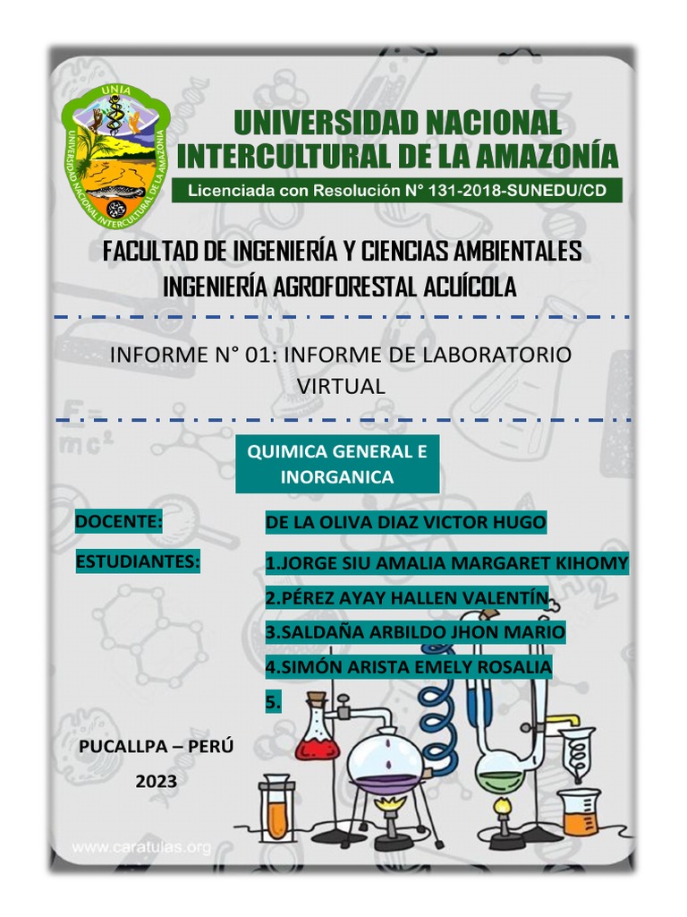 Informe de Laboratorio Virtual | PDF | Magnesio | Laboratorios