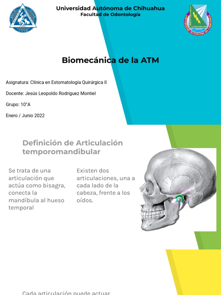 Biomecánica de La ATM | PDF | Articulación | Laringe