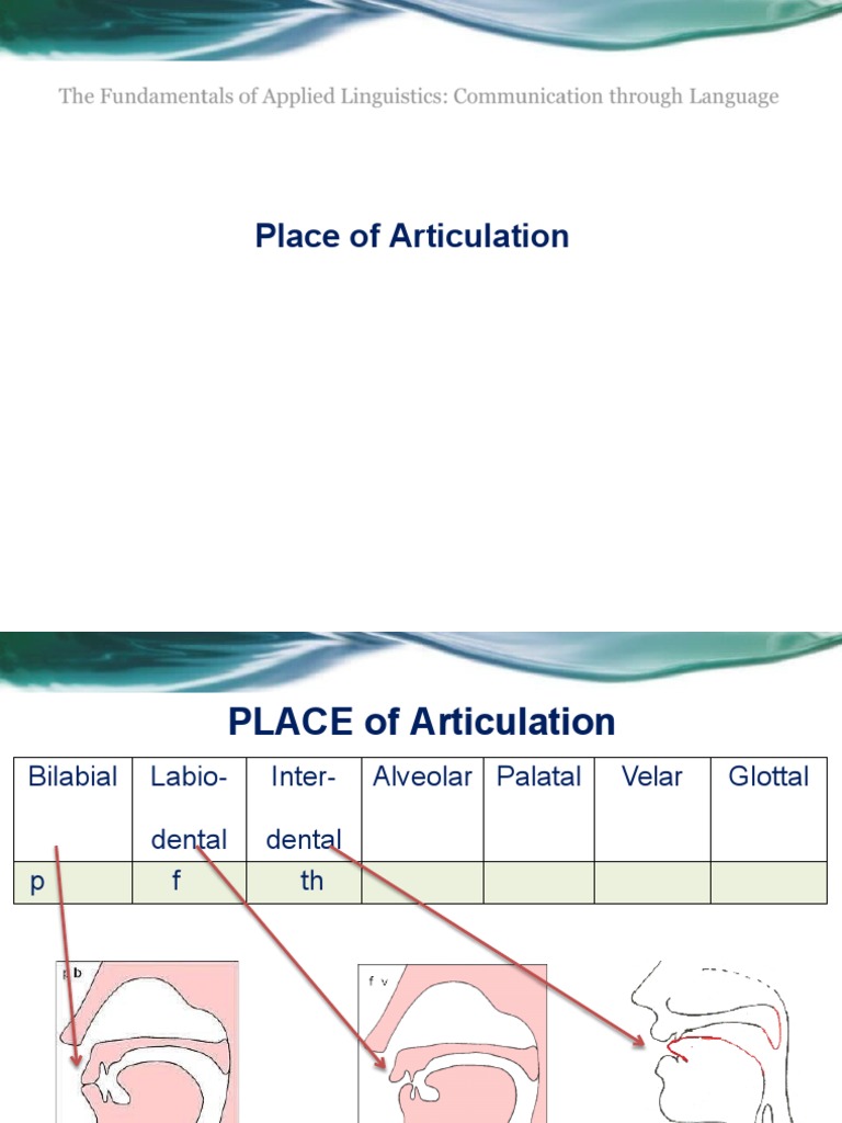 Phonology Part 2 | Download Free PDF | Phonetics | Human Voice