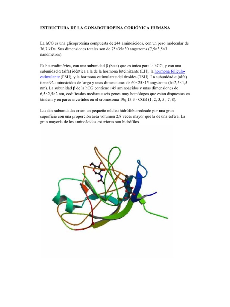 Estructura de La Gonadotropina Coriónica Humana | PDF | Gonadotropina coriónica humana | Salud ...