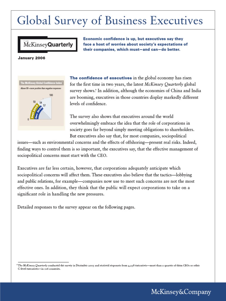MC KGlobal Exec Survey 2006 | PDF