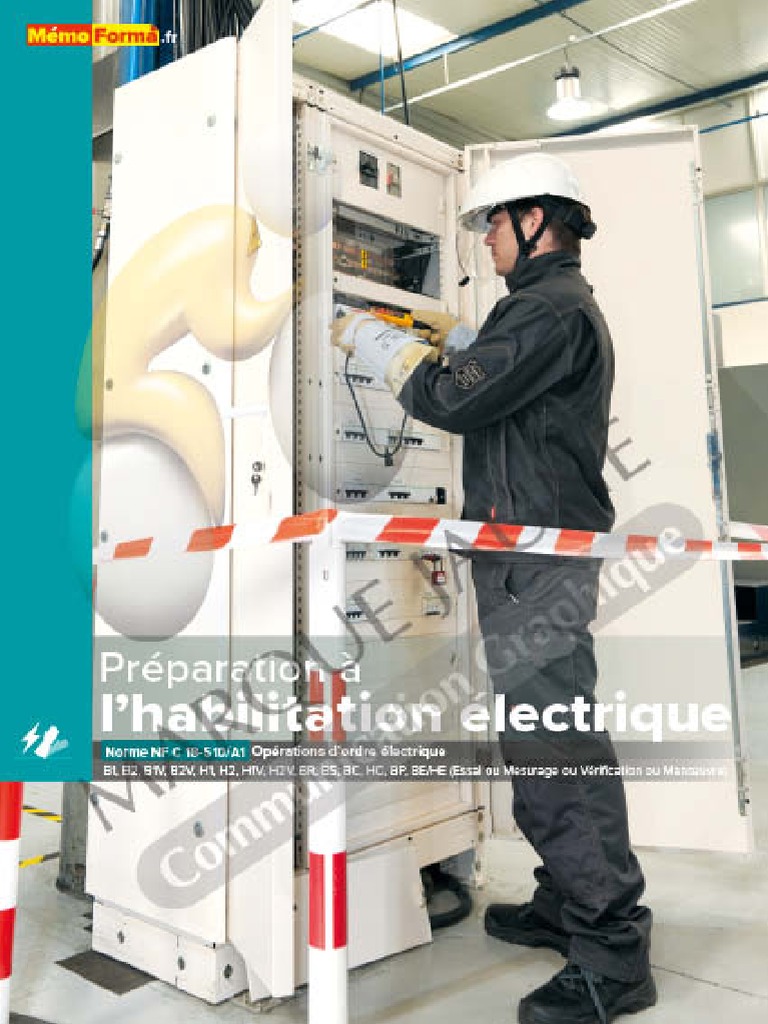 Prepa Habilitation - ELEC | PDF