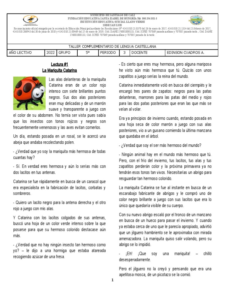 La Mariquita Catarina: Taller de Lectura | PDF | Coccinellidae