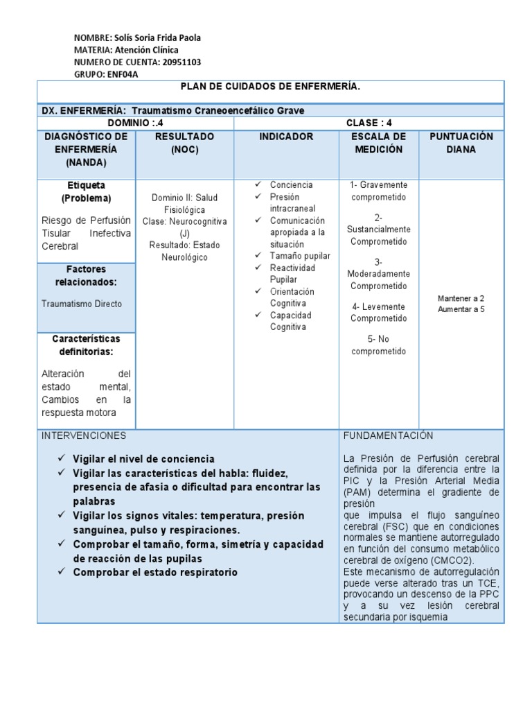 Formato Place | PDF | Lesión cerebral traumática | Causas de la muerte