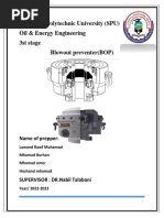 Rupture Disc-PSV Combination | PDF | Valve | Hydraulics
