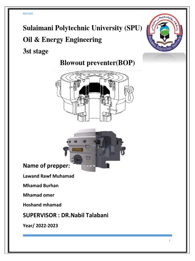 Drilling Report | PDF | Casing (Borehole) | Mechanical Engineering
