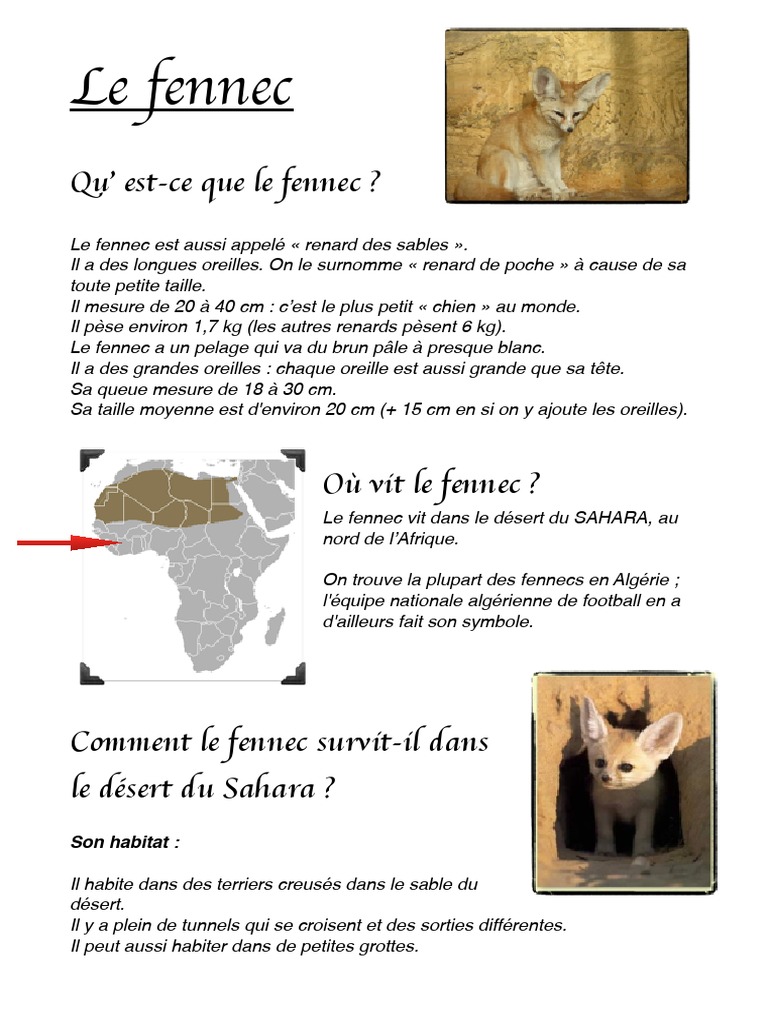 Le Fennec | PDF