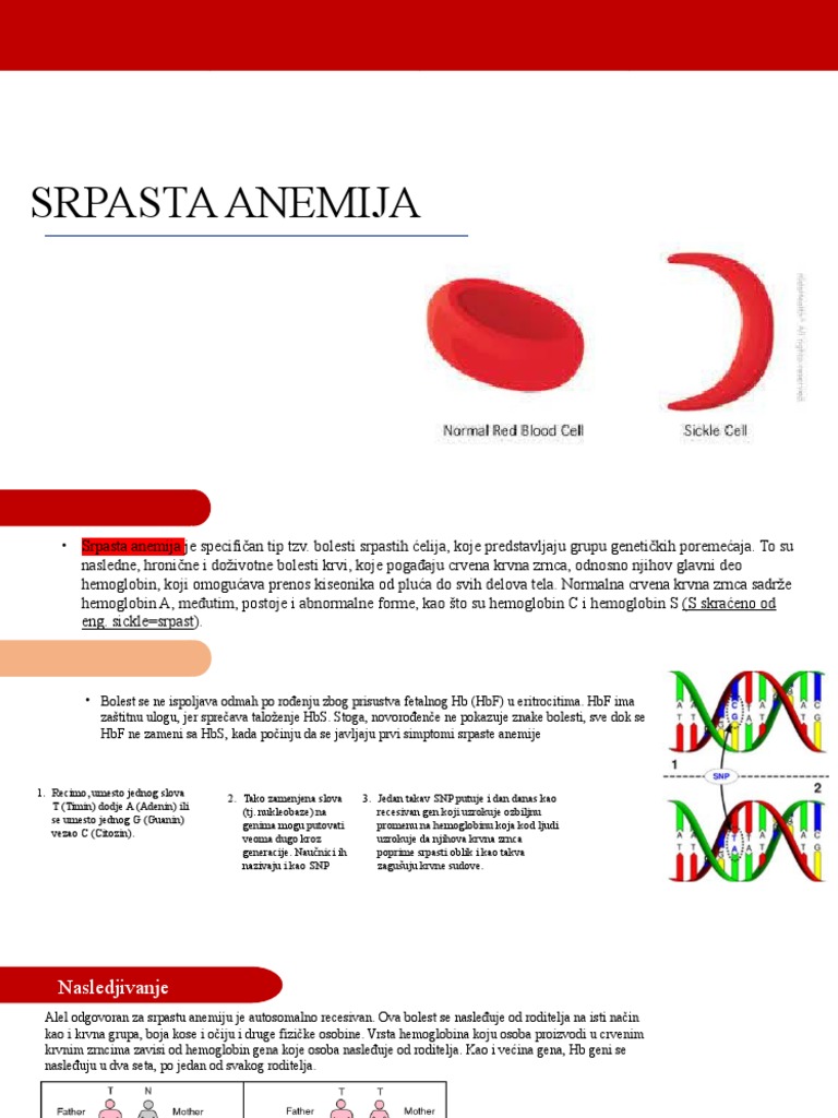 Srpasta Anemija | PDF