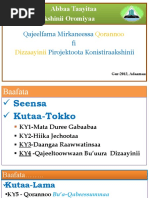 Dambii Lakk. 197-2010 (Dambii Milisha) | PDF