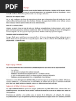 Reglas Basicas Del Handball | PDF | Deportes y actividades al aire libre