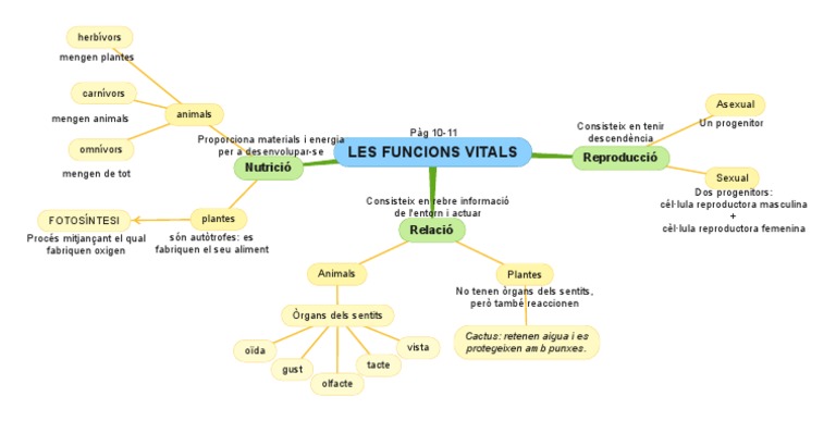 Les Funcions Vitals | PDF