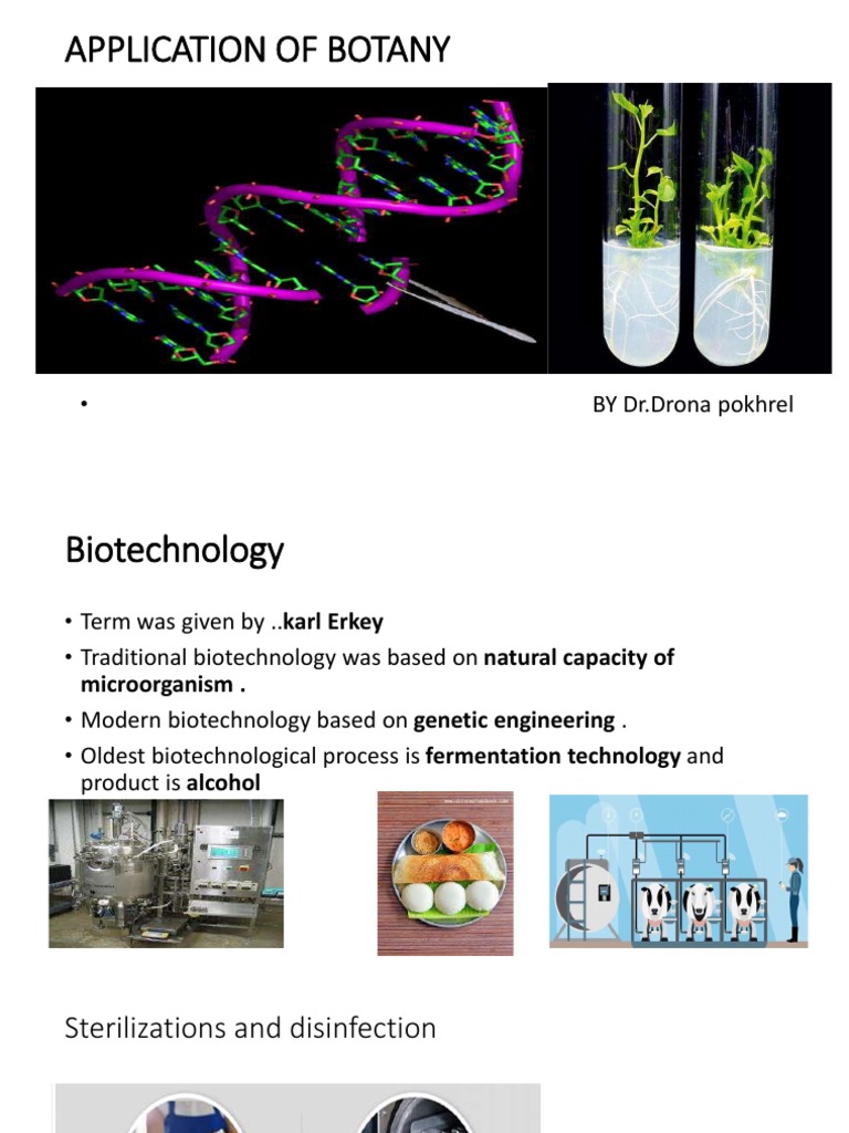 APPLICATION OF BOTANY - Notes | PDF | Molecular Cloning | Genetically ...