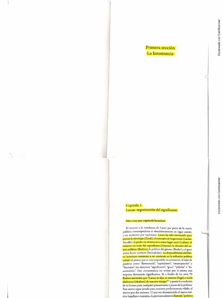 Selci, Damián - La Organización Permanente (Pp. 31-109) | PDF