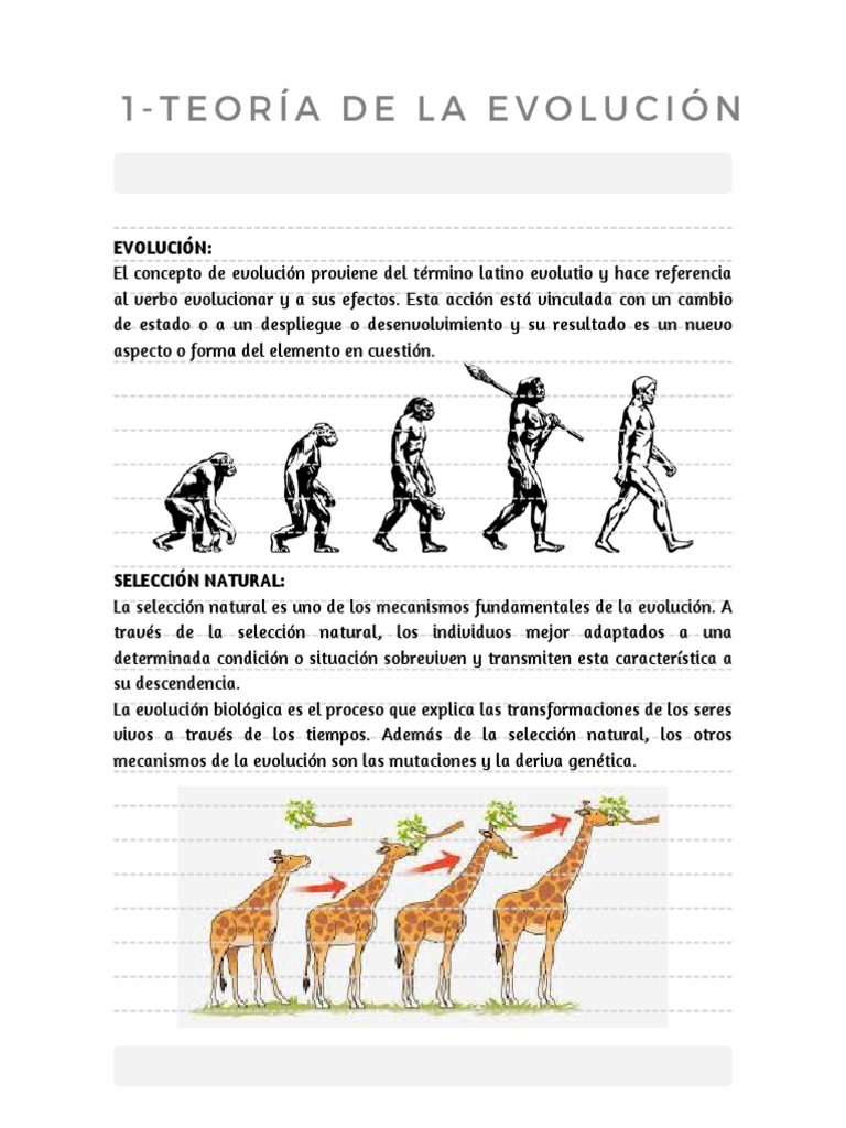 Teoría de la Evolución y Selección Natural | PDF | Evolución | Creacionismo