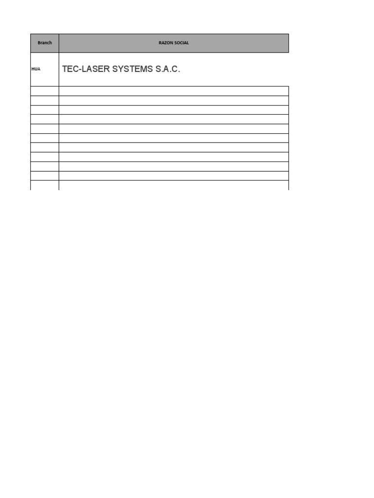 Tec-Laser Systems S.A.C. | PDF | Informática