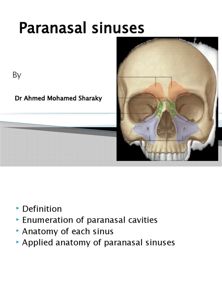 Anatomy and Function of Paranasal Sinuses | PDF | Human Anatomy | Human ...