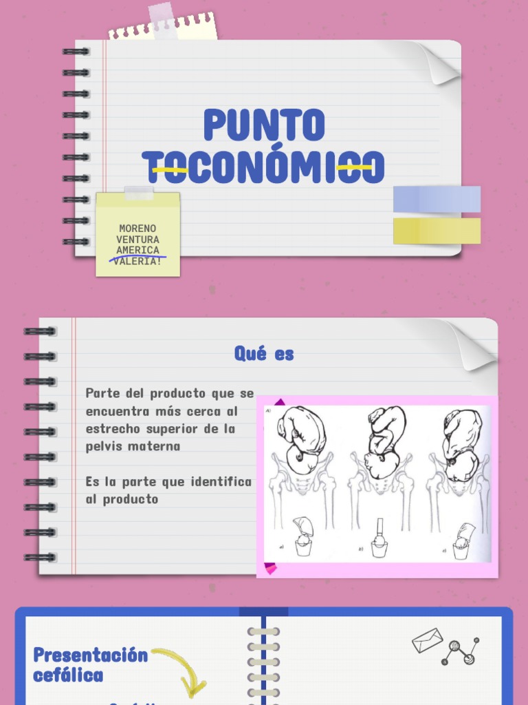 Punto Toconómico | PDF