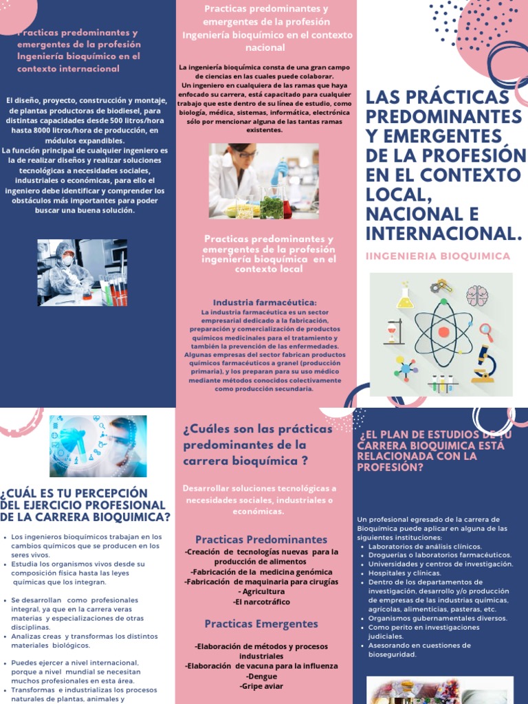 Las Prácticas Predominantes y Emergentes de La Profesión en El Contexto ...